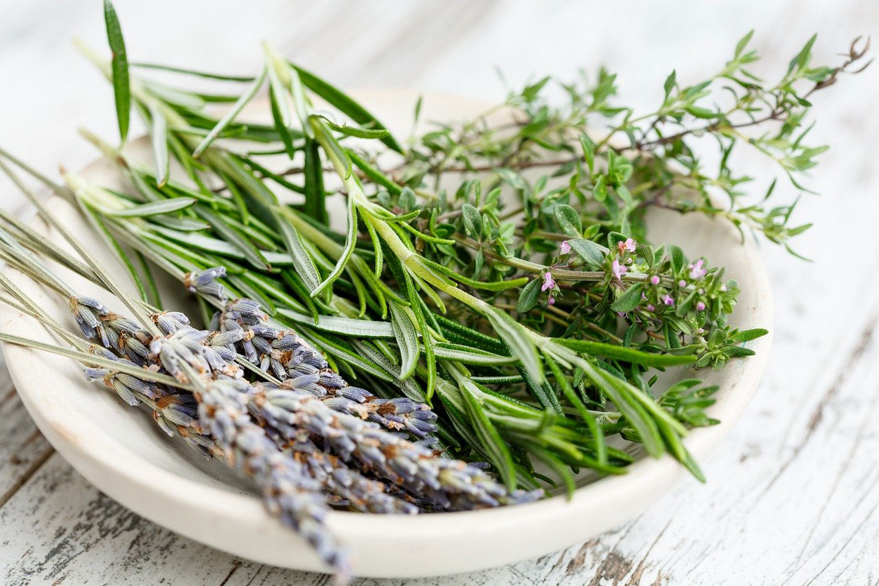 Rosemary Is Ready To Boost Your Memory - Dr Asa Andrew
